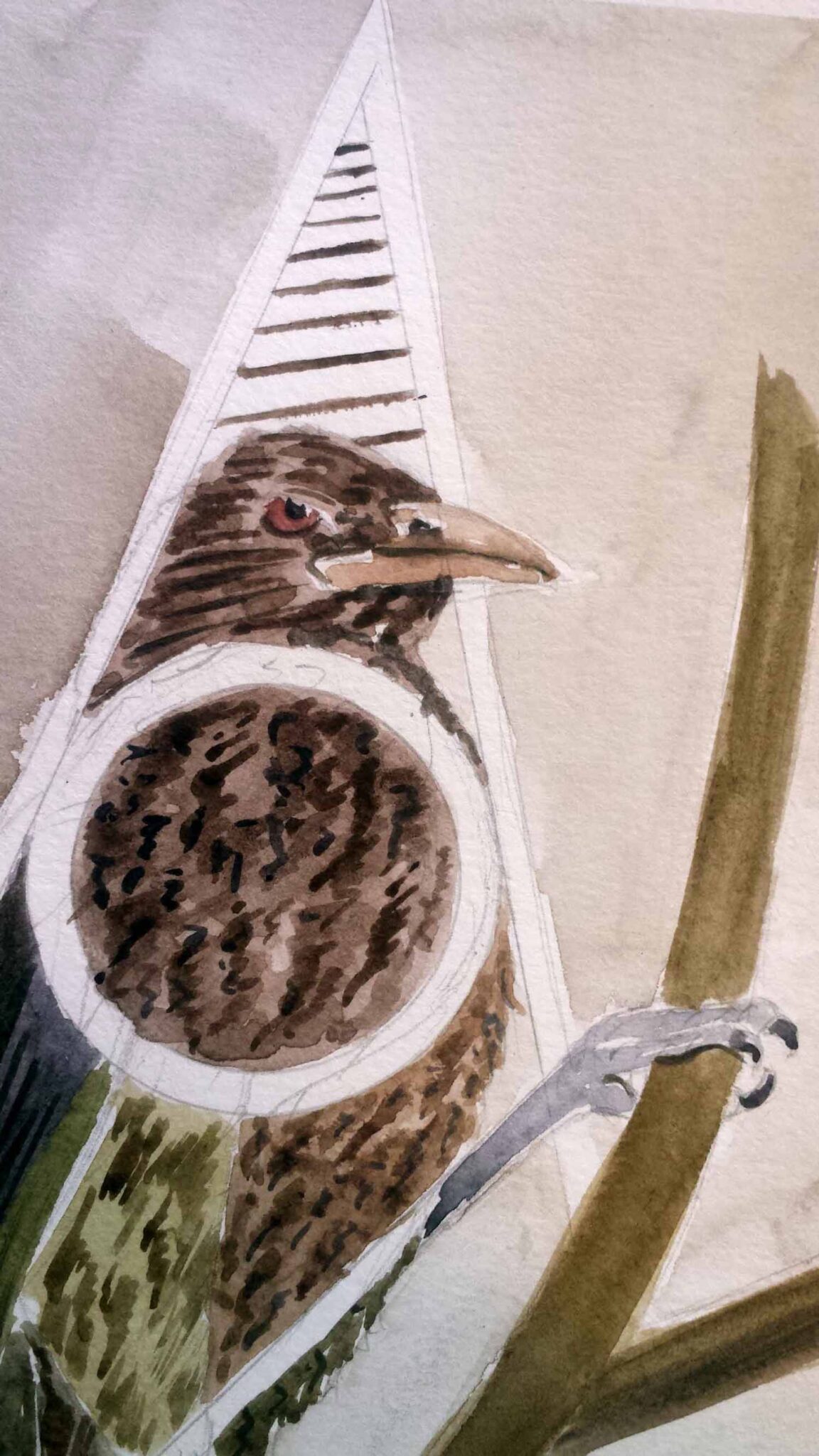 Dulus dominicus. Acuarela. Tamaño 9x12 in. 2021